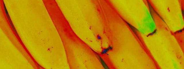 Recruitment Website Design for Recruitment Agencies - RecruiterWeb