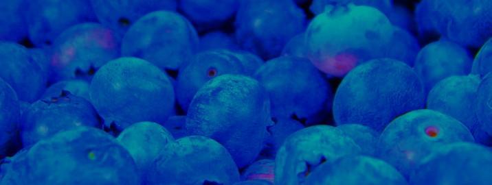 Recruitment Website Design for Recruitment Agencies - RecruiterWeb